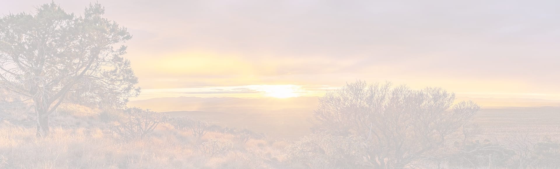 VFW Department of Arizona District 7 Homepage - VFW Department of ...